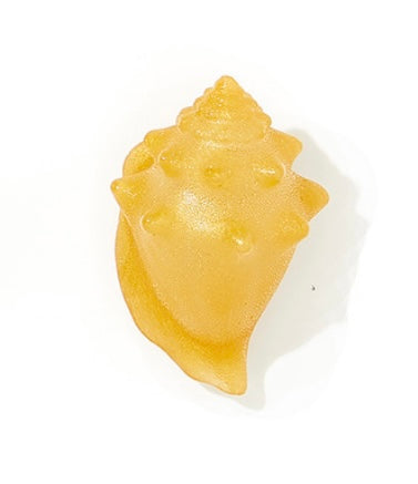 Nautical Nirvana - Conch Shell – Pure Sugar Candy